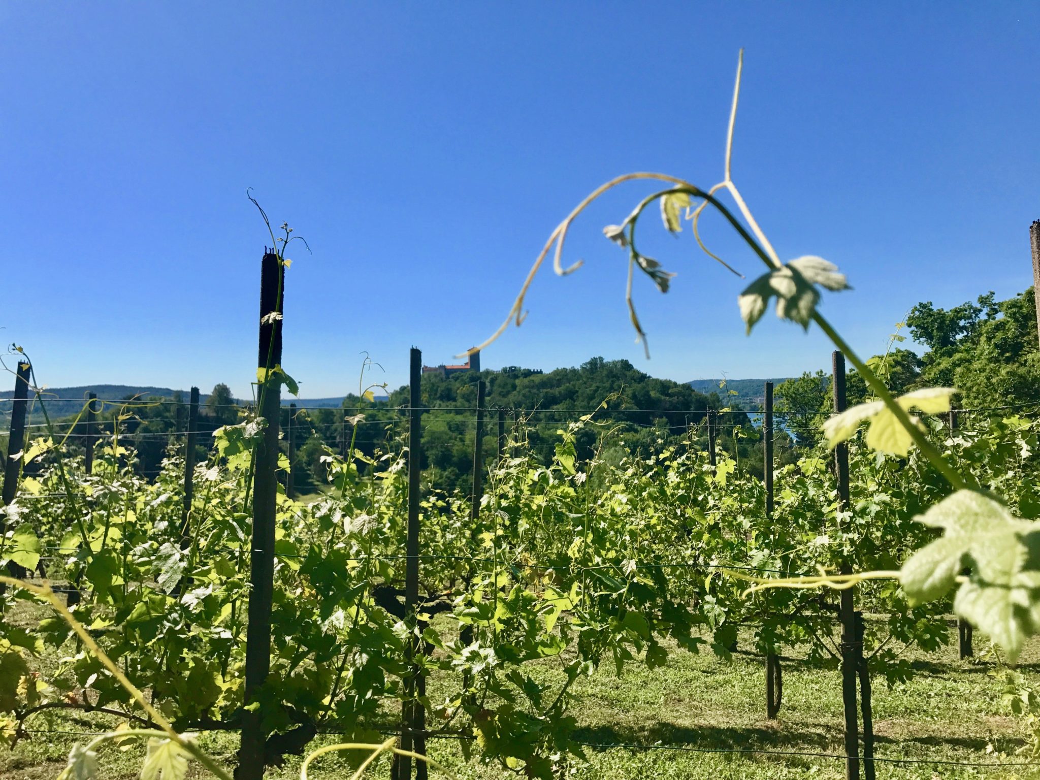 Grandi prodotti in piccoli comuni: la Varese "sconosciuta". O no ...