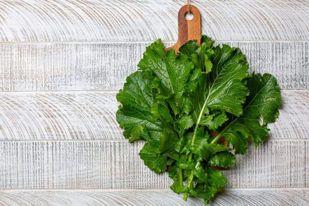 Come pulire le cime di rapa e cucinarle: ricetta facile delle orecchiette