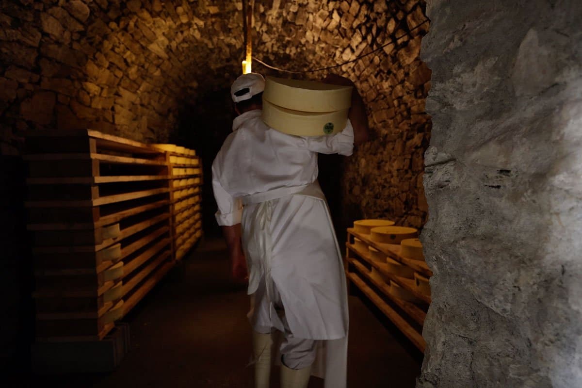 Fontina valdostana: guida al formaggio DOP della Valle d’Aosta